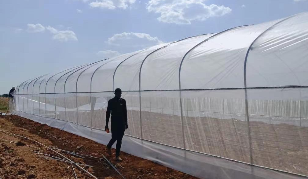 Rectangular Greenhouse Rolling Bench - Skyplant